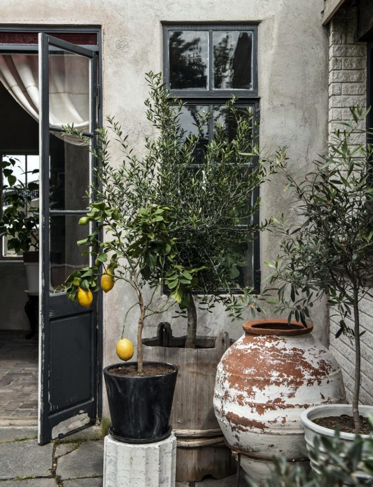 Stone Style And Texture
